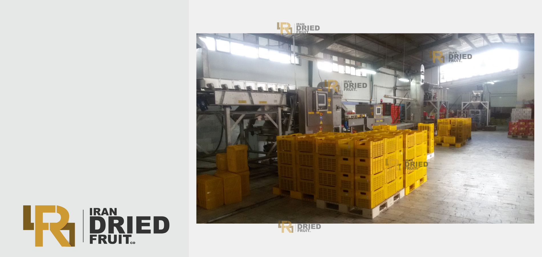 Raisin manufacturing process » iran dried fruit