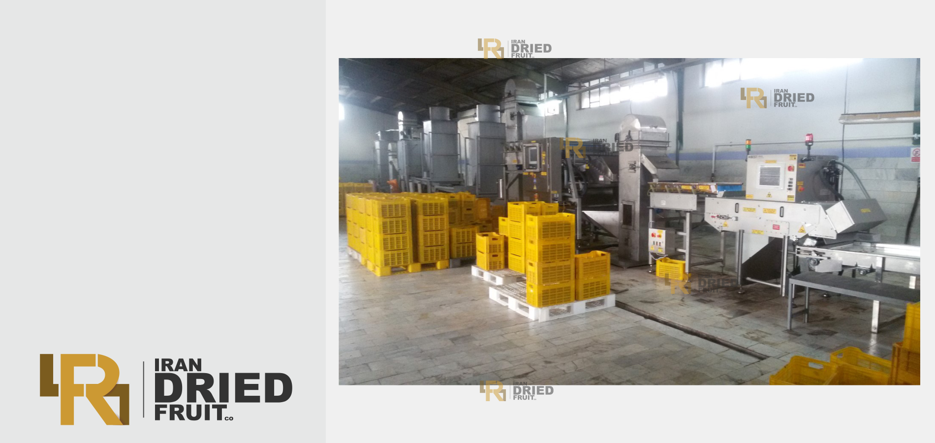 Iranian Raisin Supplier & Manufacturer - http://www.irandriedfruit.com